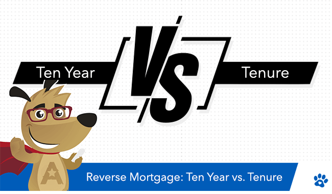 Reverse Mortgage Payment Options: Term, Ten Year & Tenure Explained
